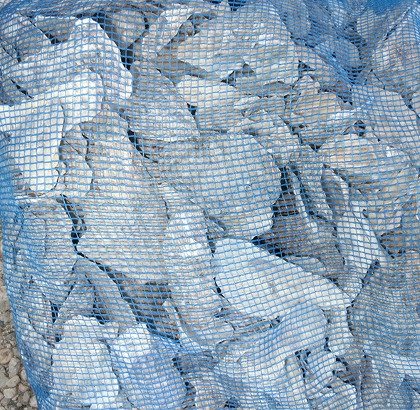 Yahoo!オークション - かき殻(半洗浄済) 5kg前後 容積約25L 2点目より3...