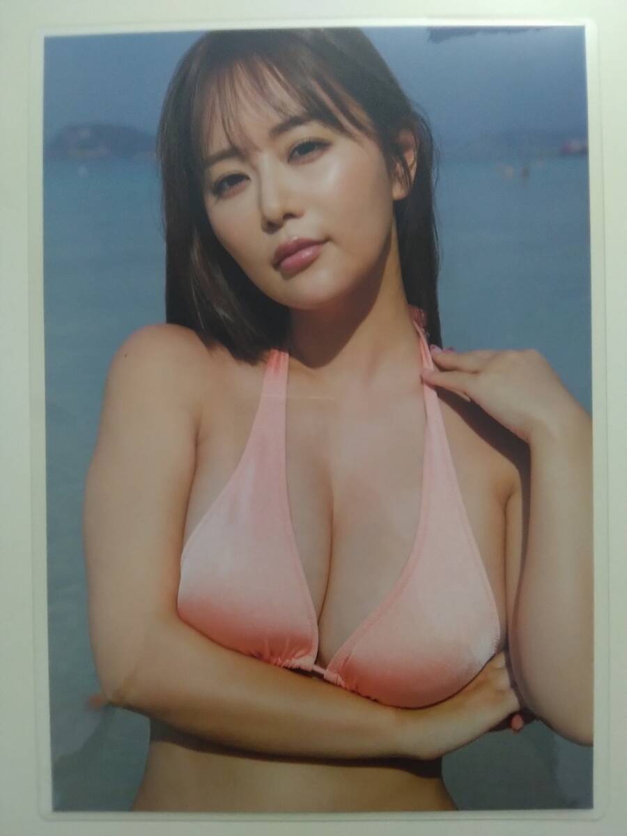 Yahoo!オークション - B298《切り抜き》【井口裕香・十味 12P】厚手ラ...