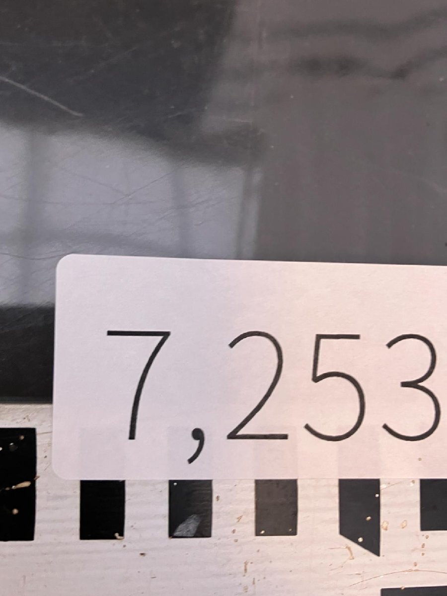 7253 実生 パキポディウム バロニー 種から発芽 発根 Pachypodium baronii 葉落ちします 塊根植物 多肉植物(その他)｜売買されたオークション情報、yahooの商品情報 ...