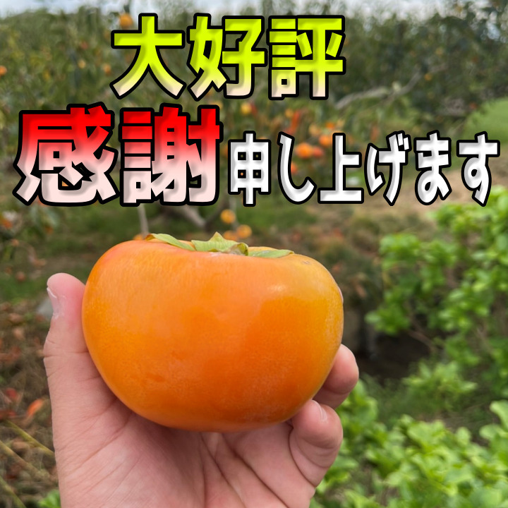 Yahoo!オークション - とってもあま～い完全甘柿 『岐阜県産のご家庭用...