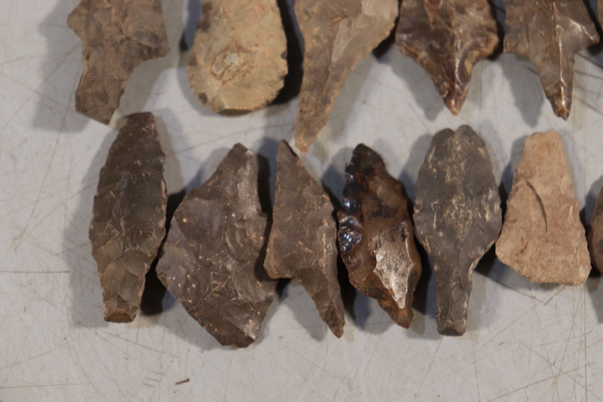 Yahoo!オークション - E634 やじり 小型 まとめて 鏃 石器 自然 化石