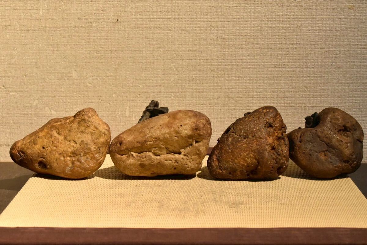 Yahoo!オークション - 【GE】Y856【コレクター所蔵品】材質不明 岩上観...