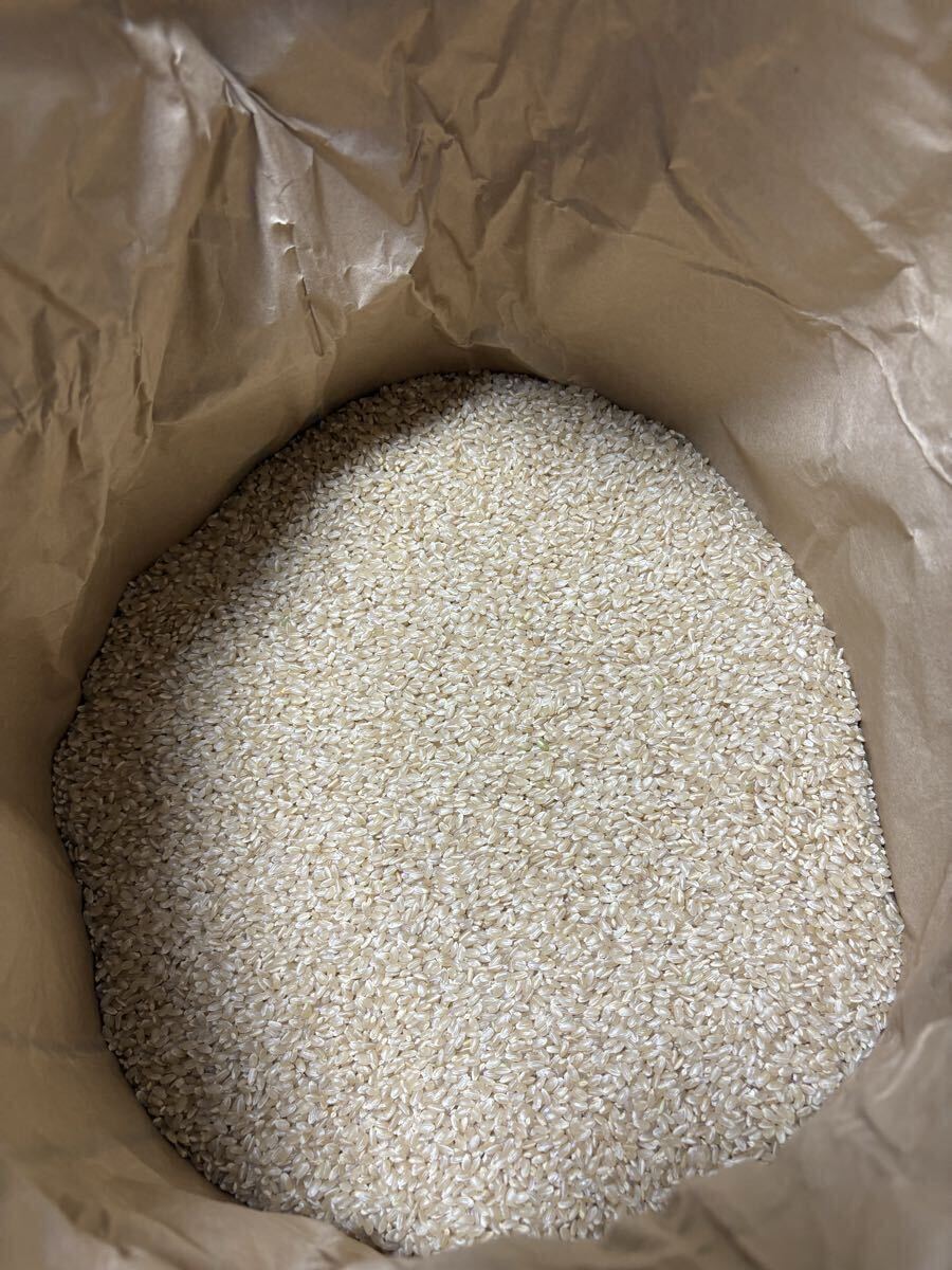 農家直送 令和7年度産 あきたこまち 玄米 10kg｜Yahoo!フリマ（旧PayPayフリマ）