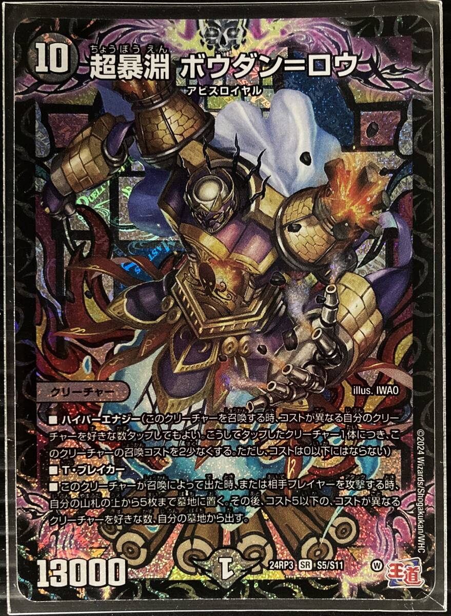 Yahoo!オークション - No.1-01994 DM24-RP3 S5/S11 超暴淵 ボウダン=ロ...