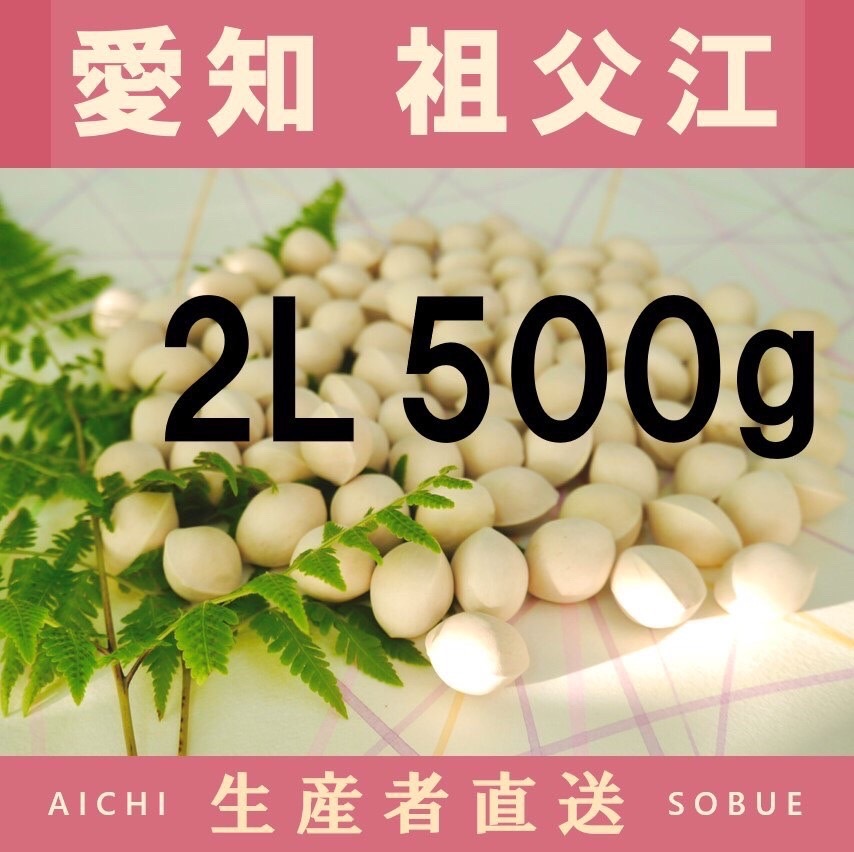 Yahoo!オークション - 久寿2025年新物 久寿 銀杏 祖父江産 2L 500g
