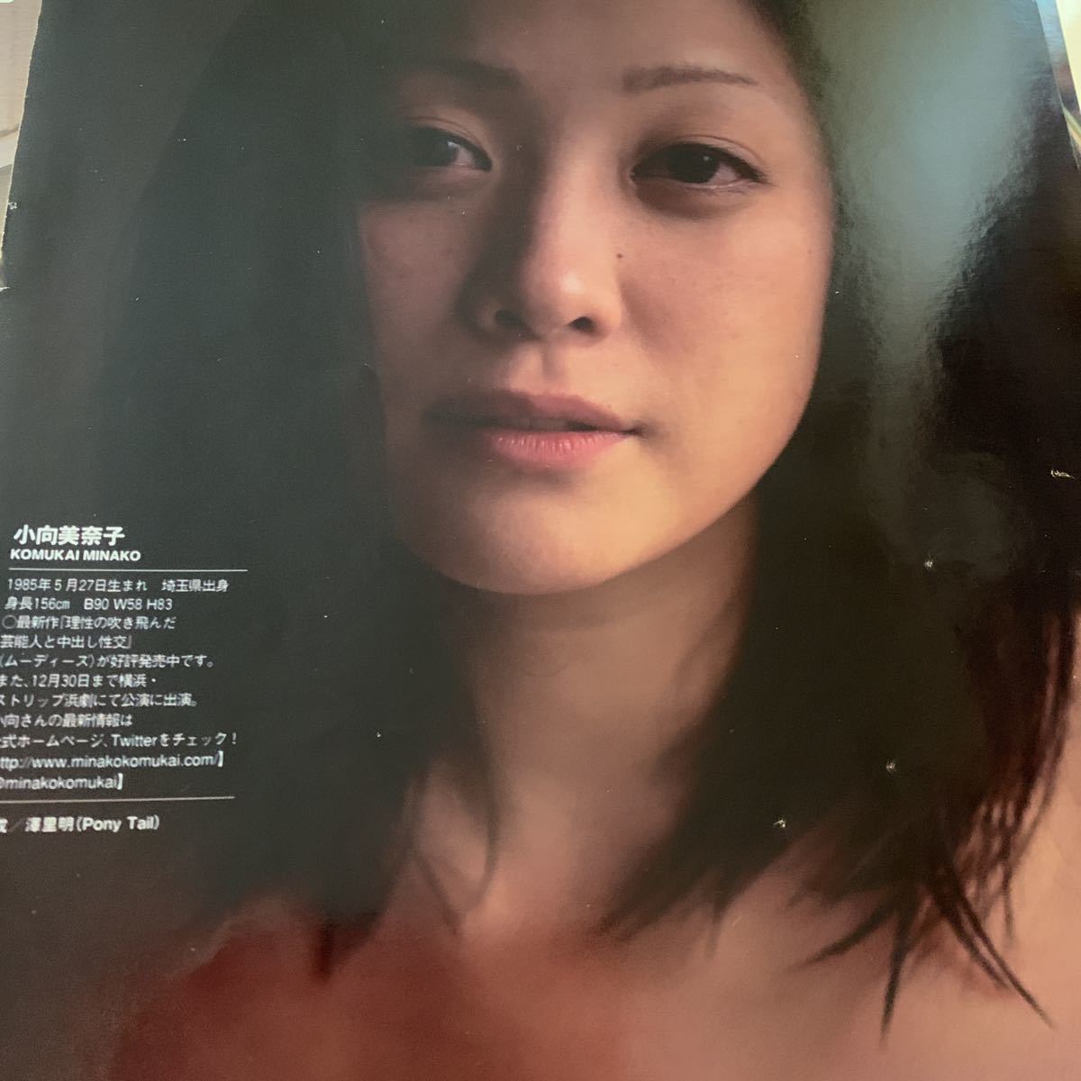 Yahoo!オークション - 15 B64-1 小向美奈子 切り抜き6ページ2015年