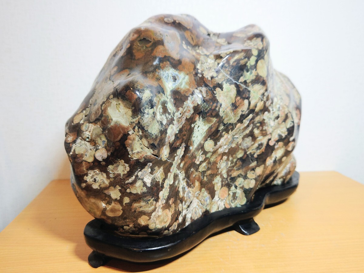 Yahoo!オークション - 【紅白】 22.8kg 梅花石 紋石 花紋石 菊花石 牡...