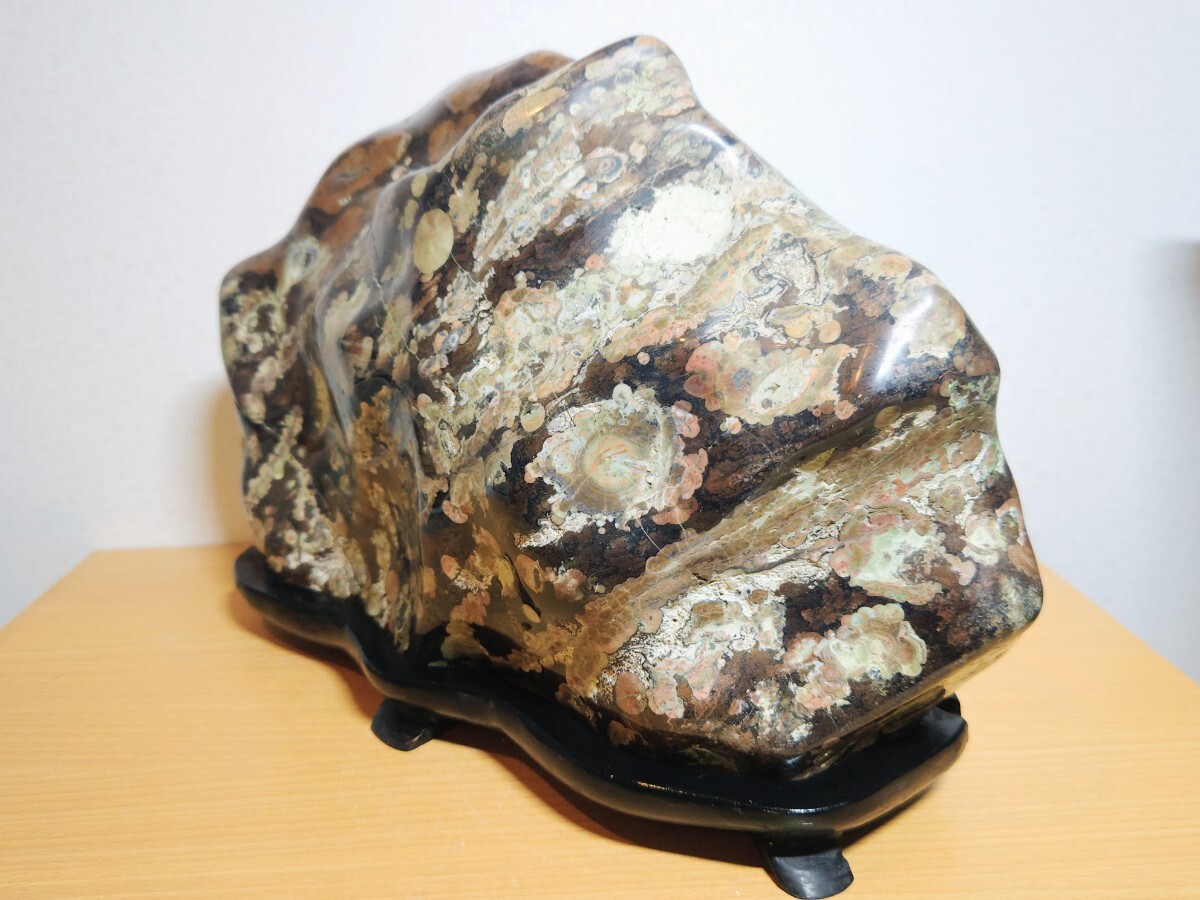 Yahoo!オークション - 【紅白】 22.8kg 梅花石 紋石 花紋石 菊花石 牡...