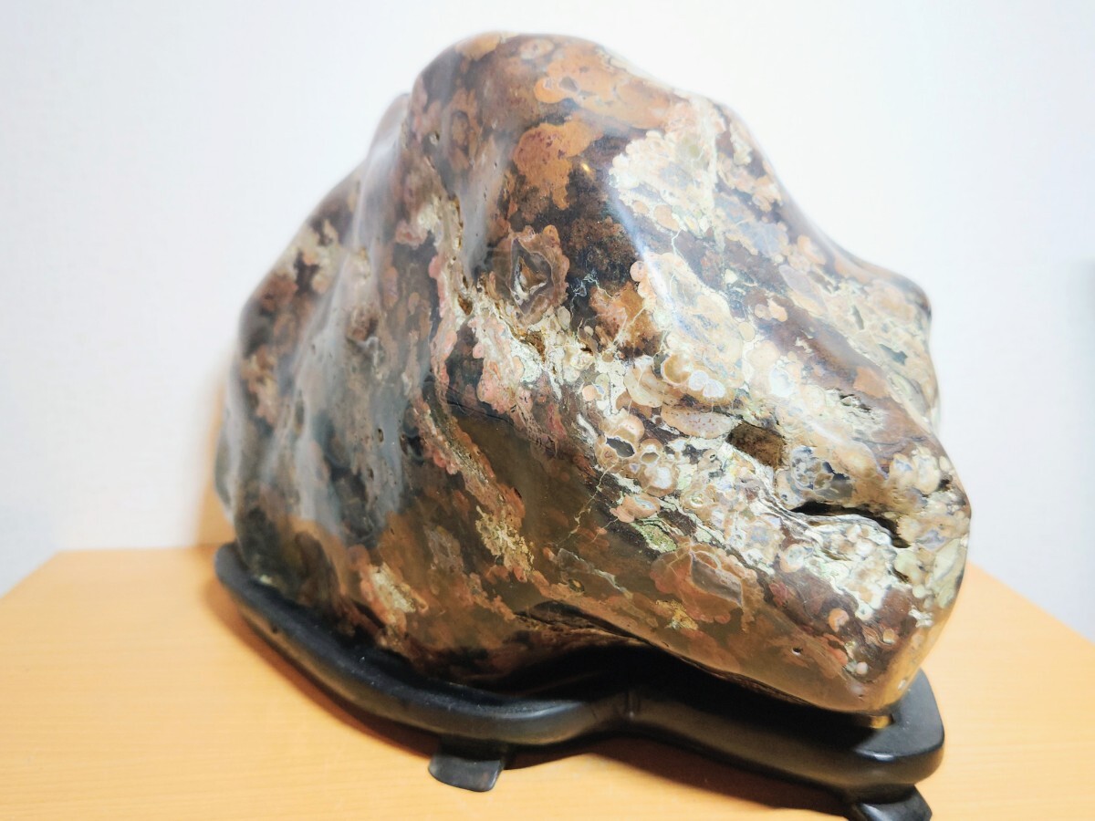 Yahoo!オークション - 【紅白】 22.8kg 梅花石 紋石 花紋石 菊花石 牡...