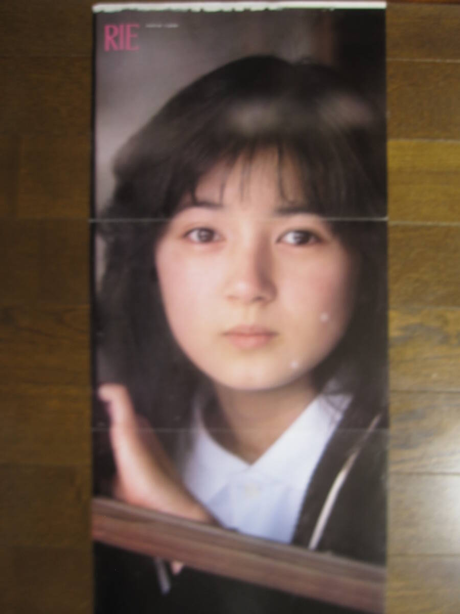 Yahoo!オークション - 両面ポスター 菊池桃子 畠田理恵（516a-1）