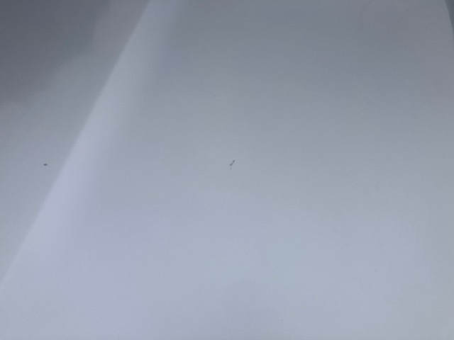 Yahoo!オークション - 良 スバル SJ5 フォレスター 後期 E型 ボンネッ...