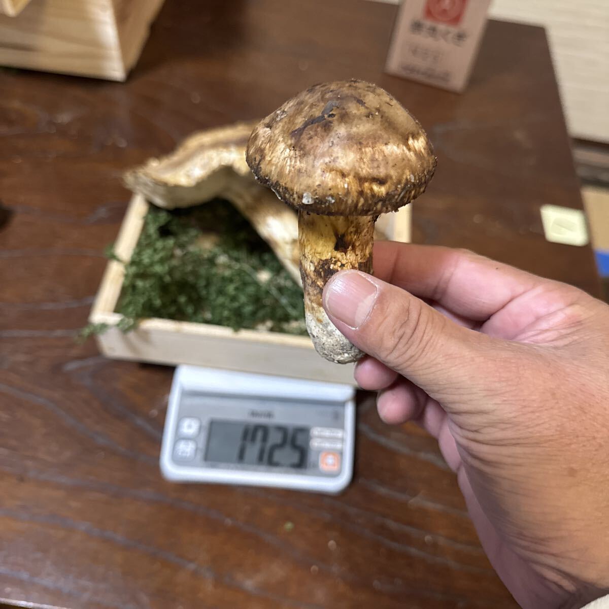 Yahoo!オークション - 国産岡山産松茸211g