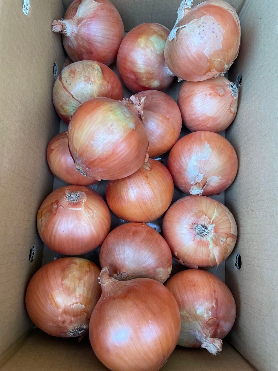 最高級 淡路島南あわじ産 たまねぎ A品10kg M L｜Yahoo!フリマ（旧PayPayフリマ）