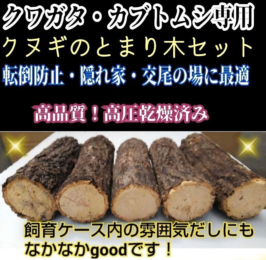 Yahoo!オークション - カブトムシ・クワガタ専用 とまり木 5本セット ...