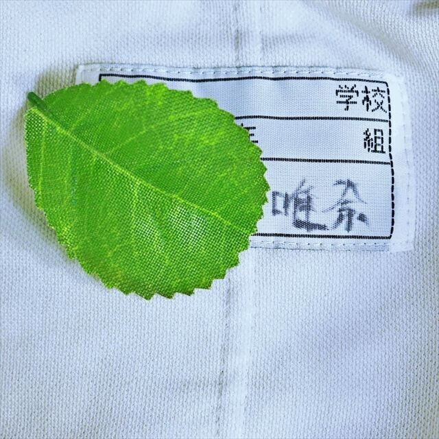 Yahoo!オークション - BE4-Z75 //TV120GA0547 ガーリーシルエット 水色...