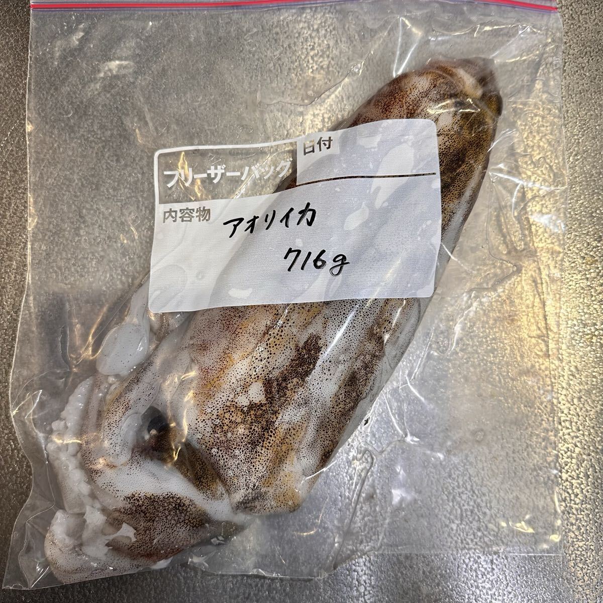 Yahoo!オークション - 4.8kg 9杯 アオリイカ 活き〆 急速冷凍