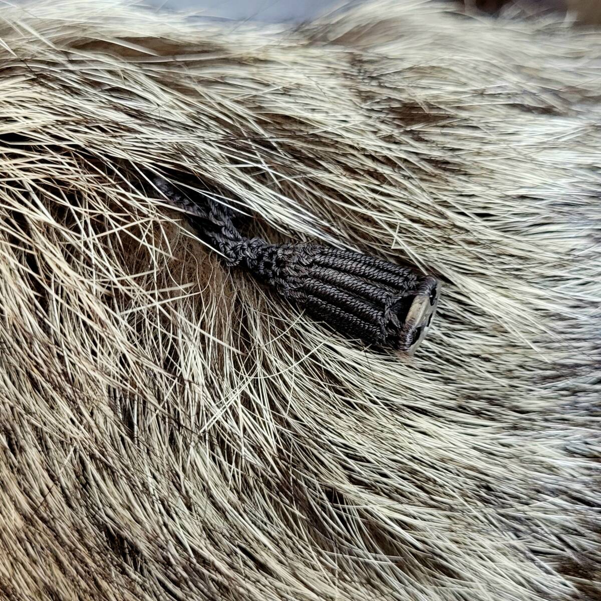 Yahoo!オークション - 5565B フォックス ファー マフラー ブラウン系 ...