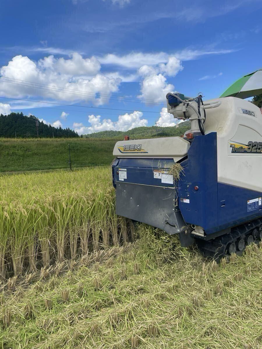 Yahoo!オークション - 令和7年度 京都府亀岡産新米コシヒカリ玄米30kg