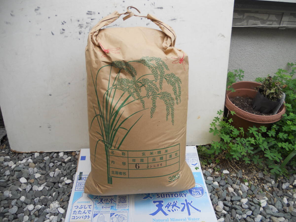 Yahoo!オークション - 宮城県産コシヒカリ玄米 30kg 令和6年古米 未使...