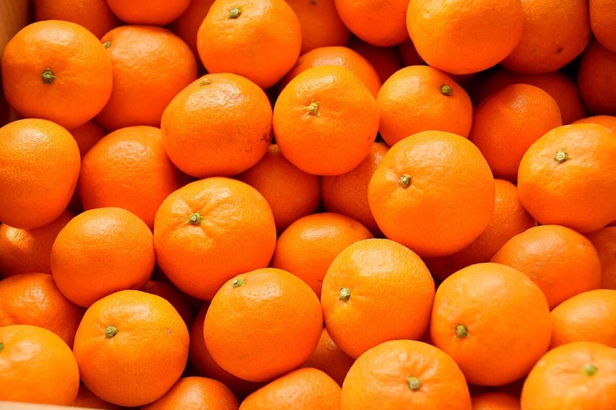 Yahoo!オークション - 訳あり みかん 和歌山県産 ご家庭用 箱込 10kg