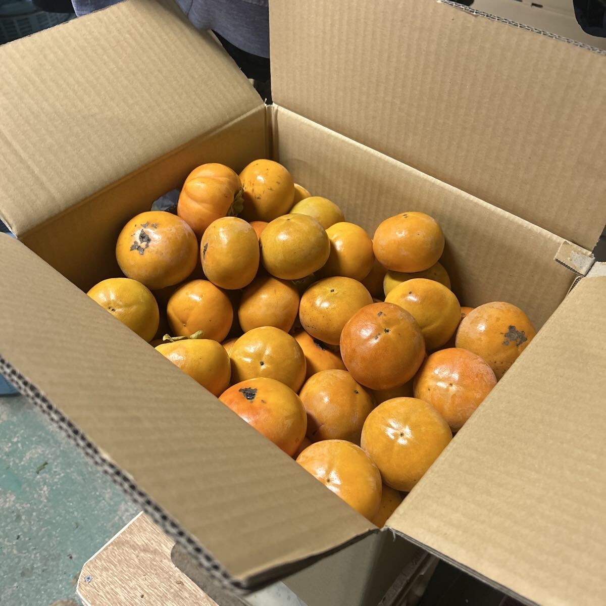 Yahoo!オークション - 早生富有柿規格外品約10キロ