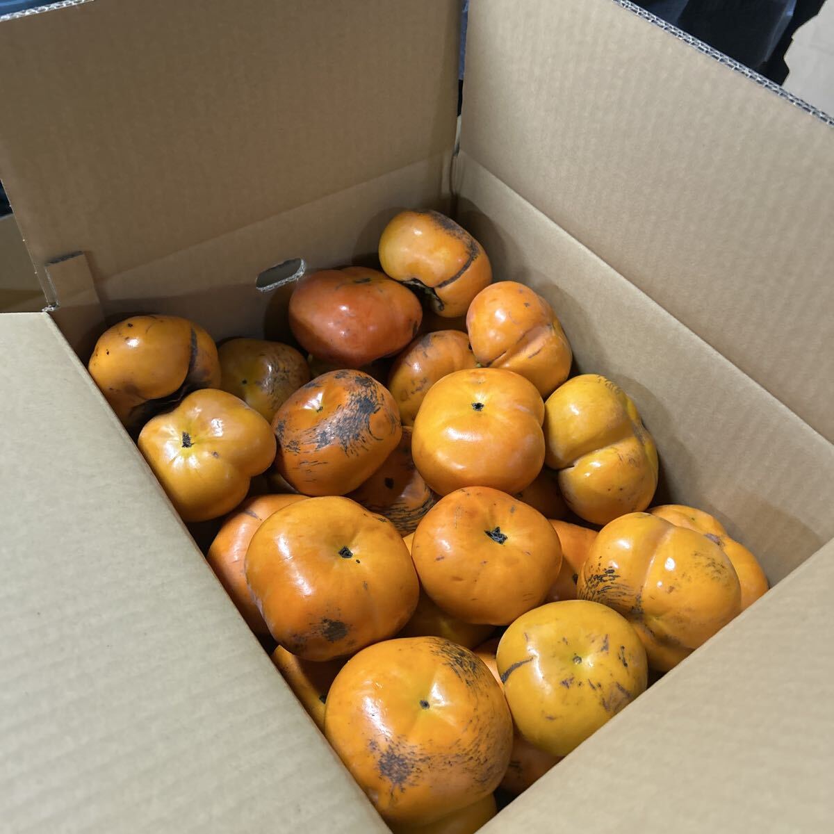 Yahoo!オークション - 秋王柿規格外品約10キロ