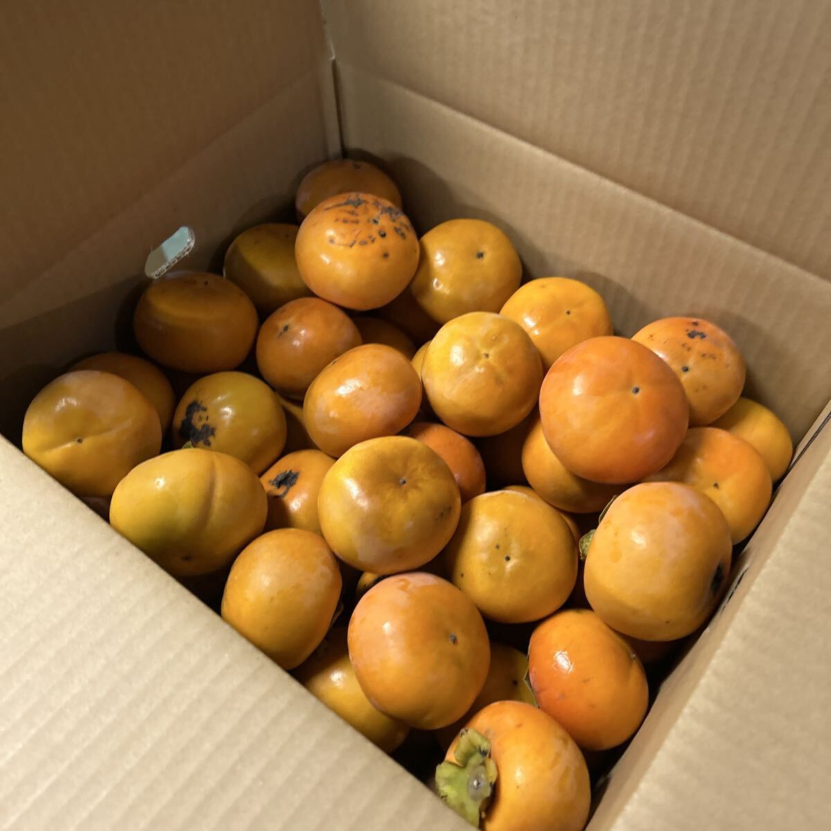 Yahoo!オークション - 早生富有柿規格外品10キロ