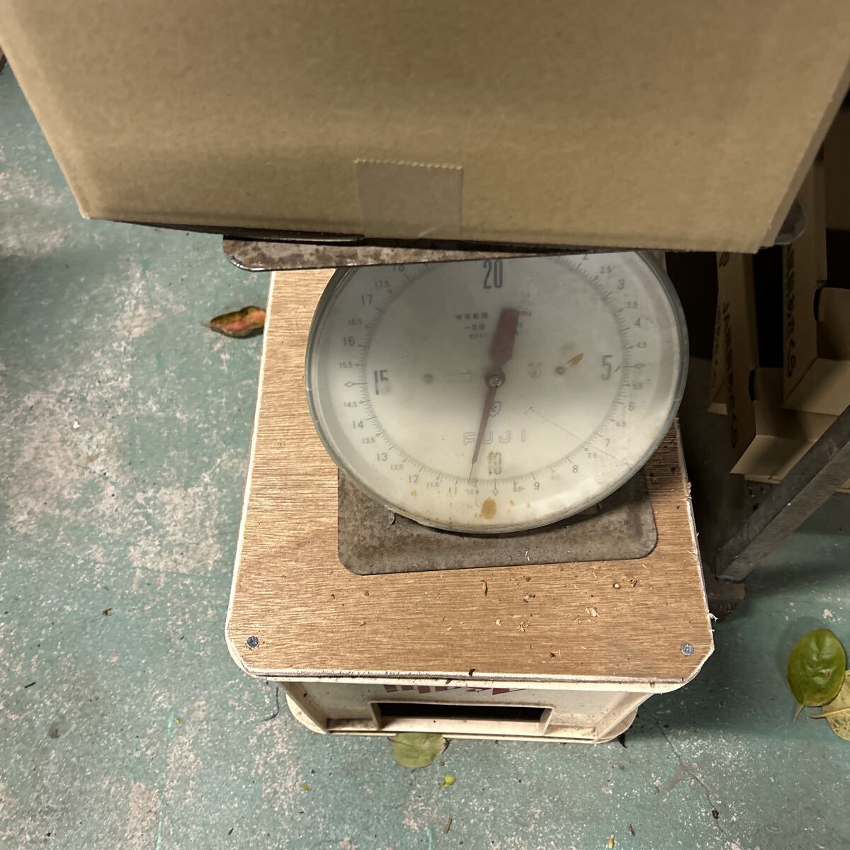 Yahoo!オークション - 早生富有柿規格外品10キロ