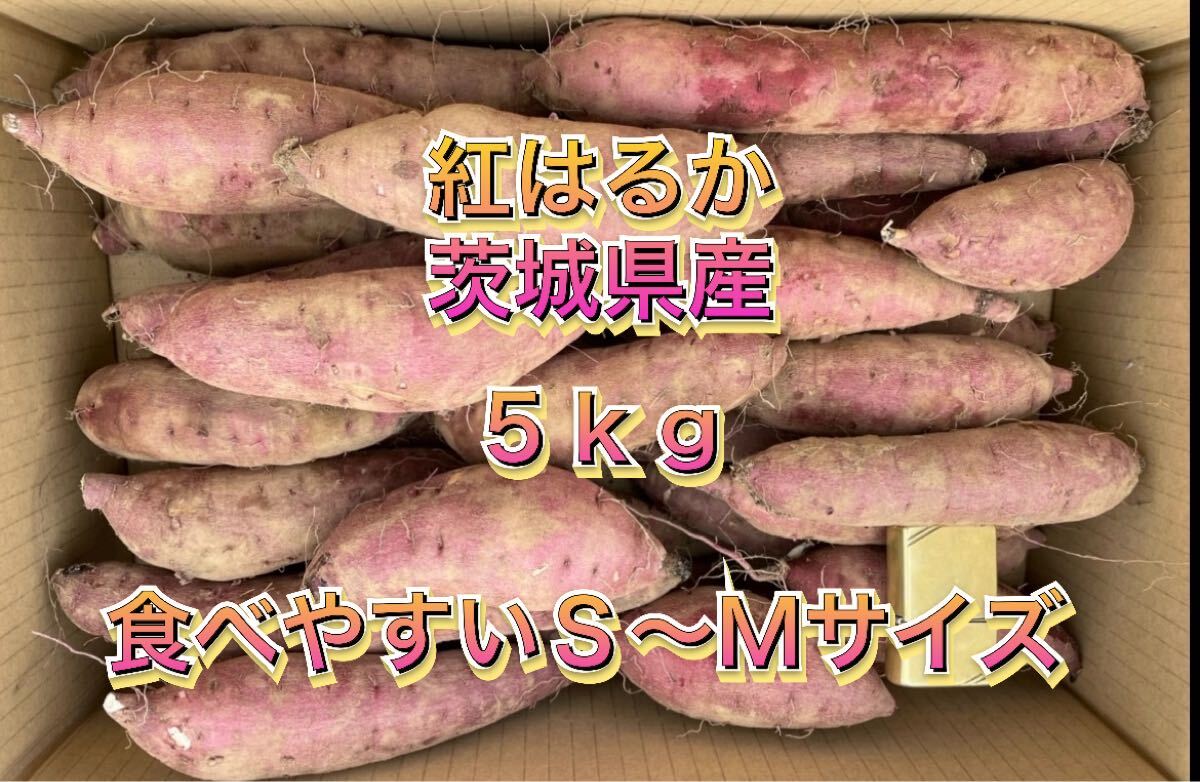 Yahoo!オークション - 紅はるか 5kg A等級S〜Mサイズ(150〜350g前後) 5...