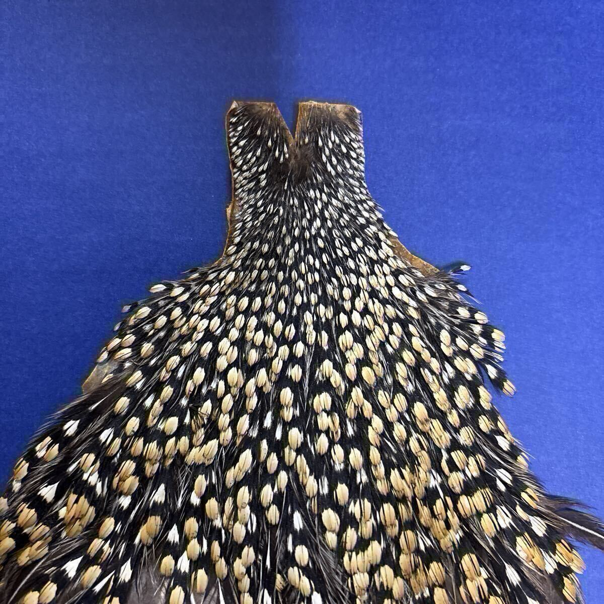 Yahoo!オークション - ジャングルコックケープ