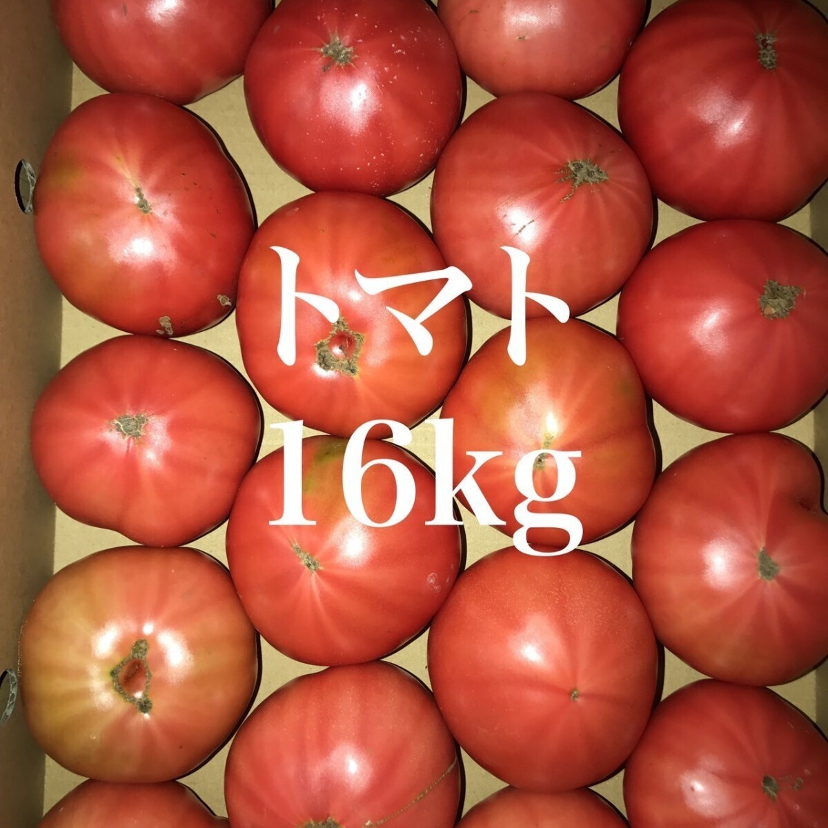 Yahoo!オークション - 【熊本県産】新鮮 フレッシュ トマト 約16kg 家...