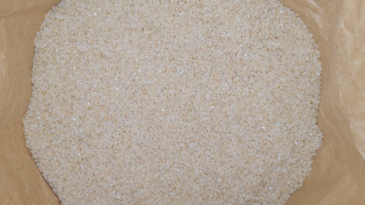 Yahoo!オークション - ②【令和7年産】 長野県産コシヒカリ 玄米30kg（...