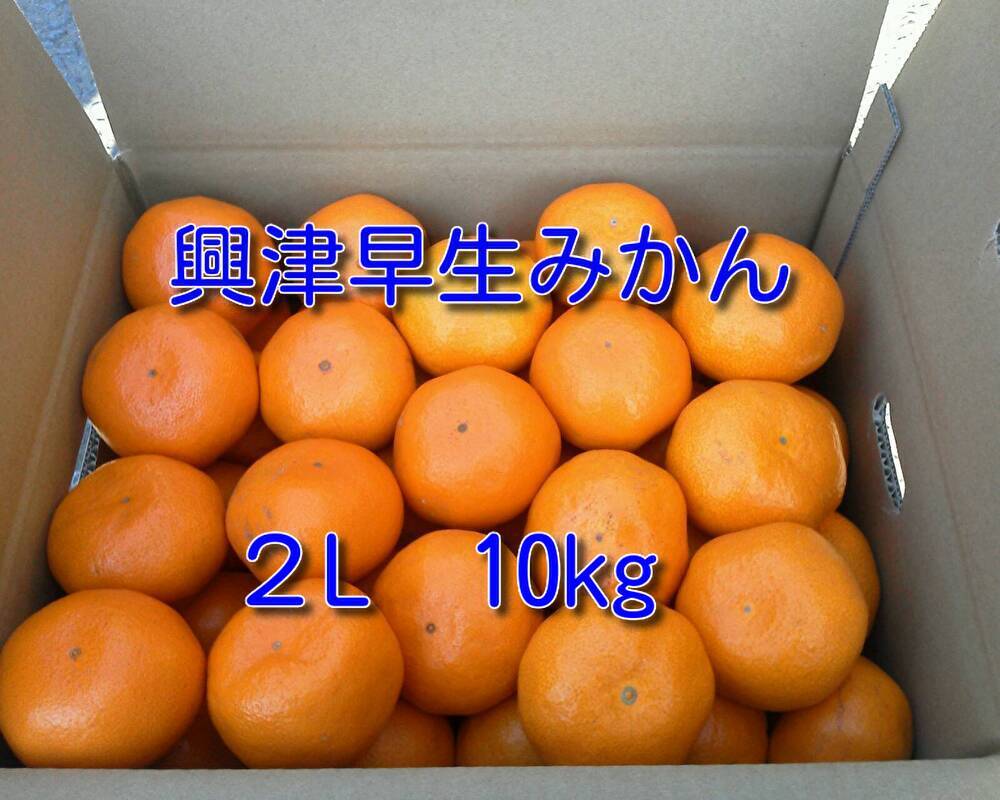 Yahoo!オークション - 『興津早生』 2Lサイズ 10kg みかん 生産者直...