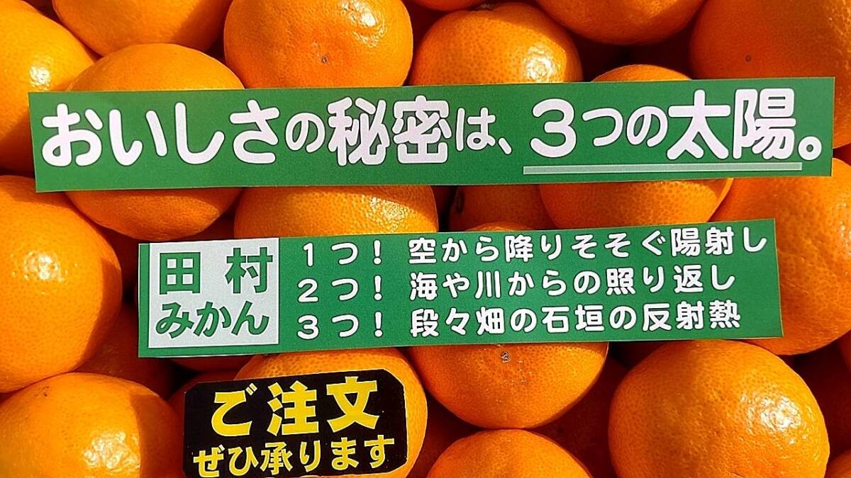 Yahoo!オークション - 2kg 和歌山 有田 プレミアム 田村みかん (Sサイ...