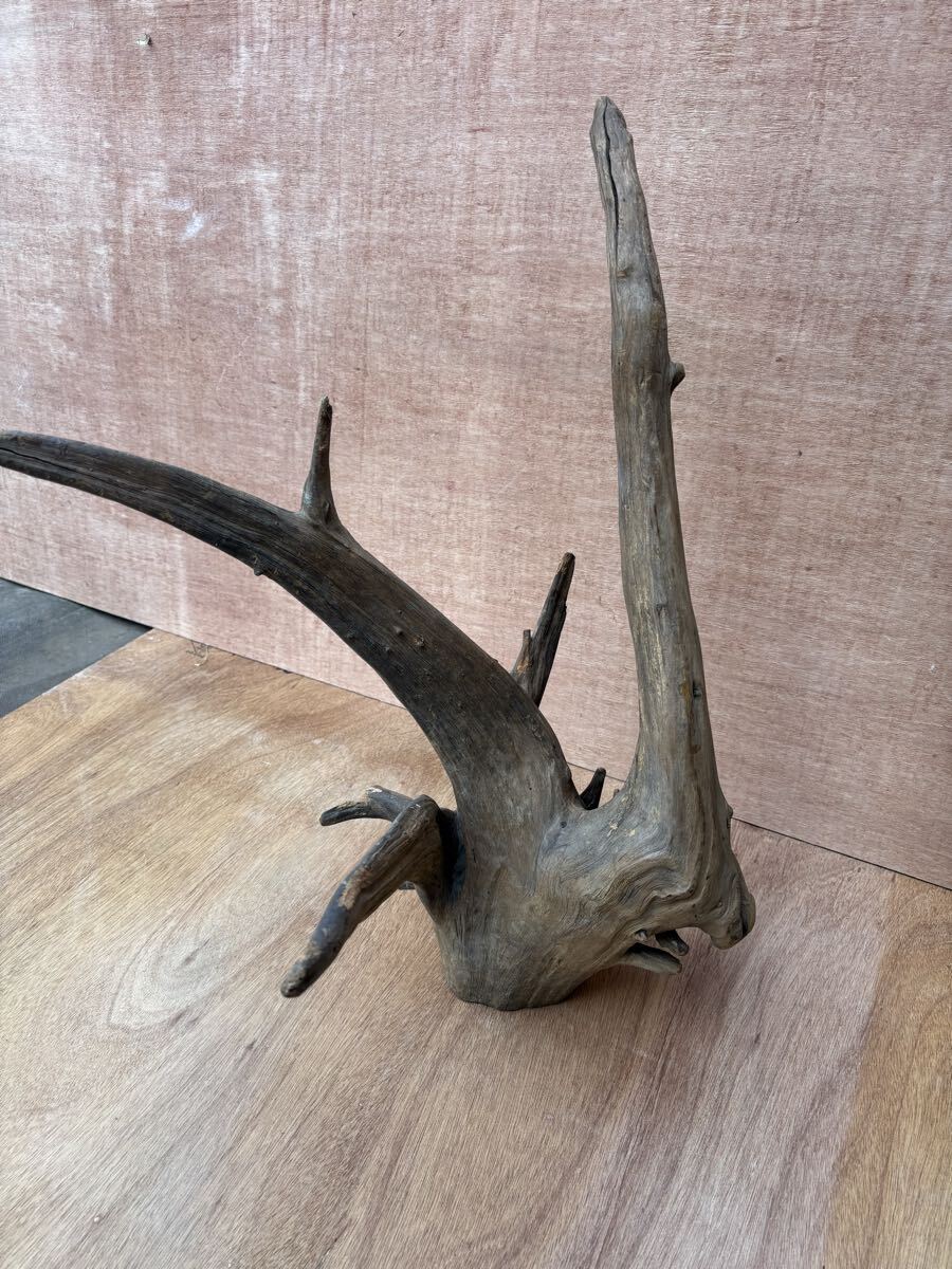 Yahoo!オークション - 流木 置物 水槽 インテリア