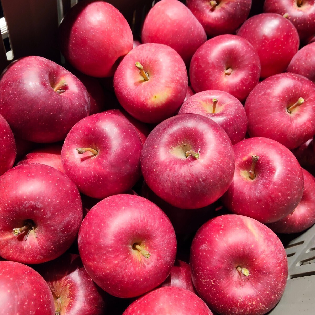 Yahoo!オークション - 【食べ比べセット】【小玉 4kg】シナノゴールド ...