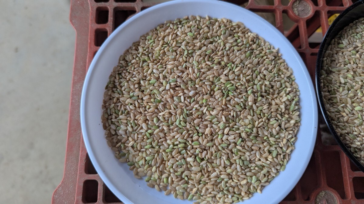 Yahoo!オークション - 鳥の餌 くず米 輸送重量30kg