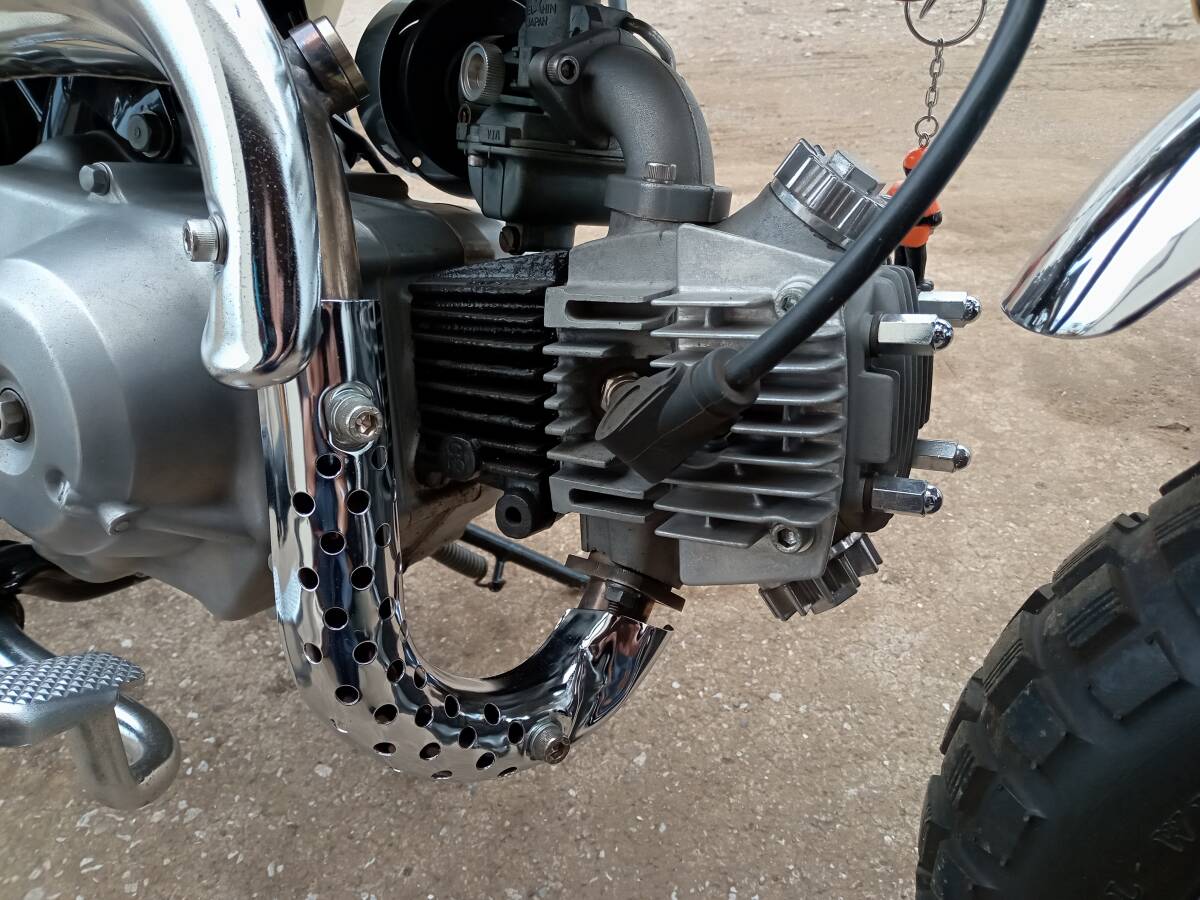 Yahoo!オークション - ビッグフィンタペットキャップ2個入り日本製検索...