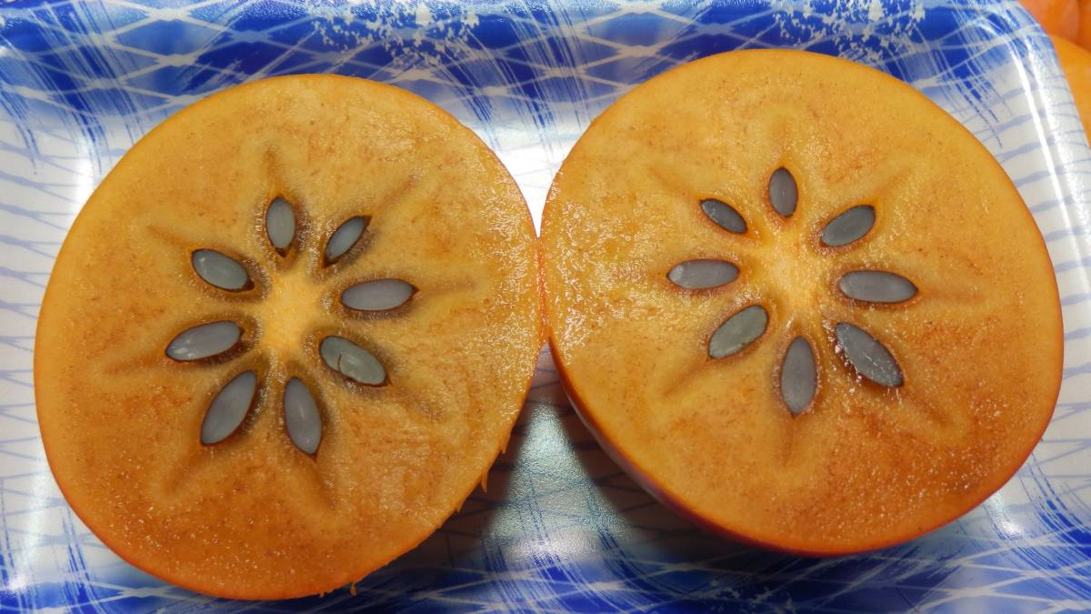 Yahoo!オークション - 富有柿・和歌山県・九度山産 家用 生産者が直送 ...