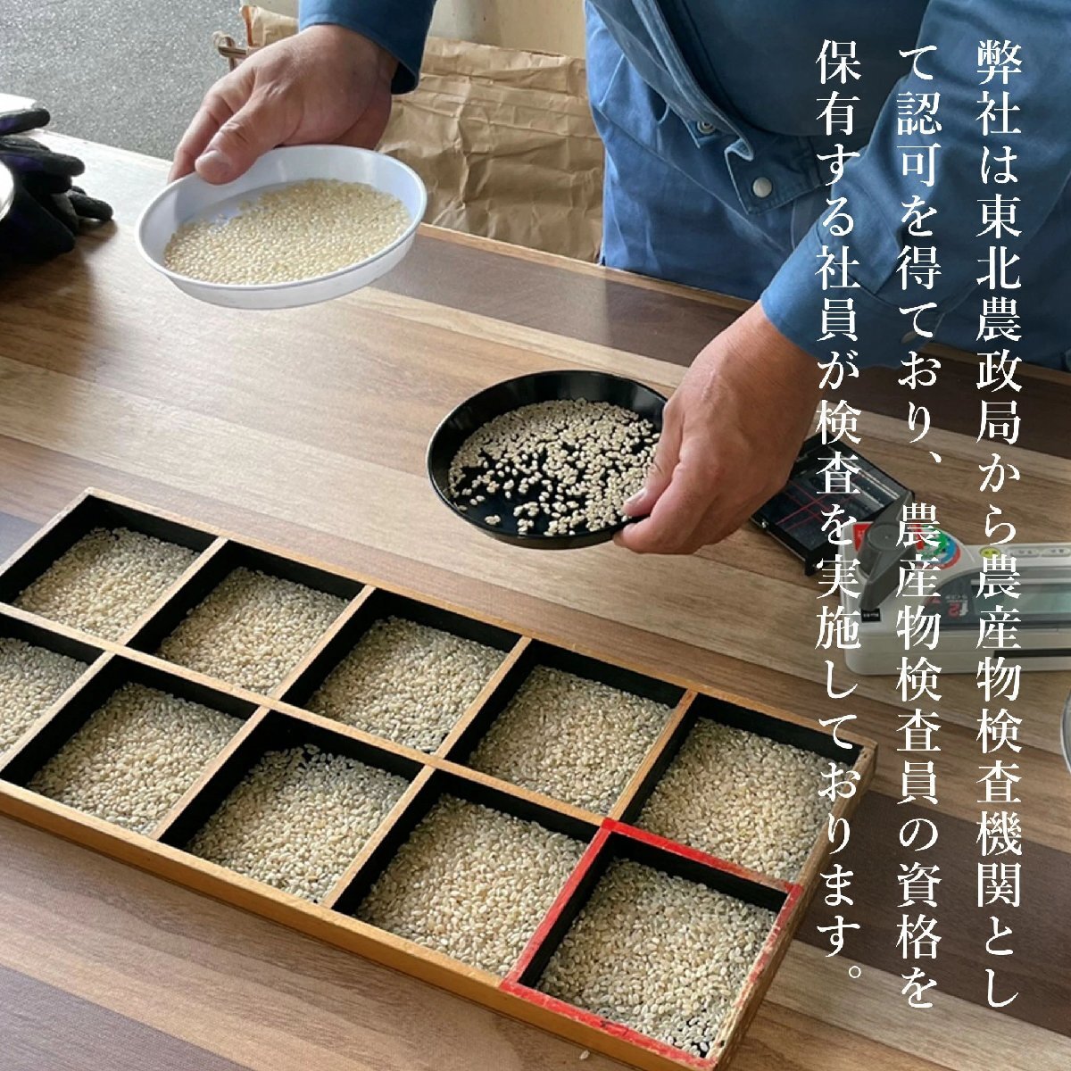 Yahoo!オークション - 新米 令和7年産 米 10kg 5kg×2袋 コシヒカリ お...