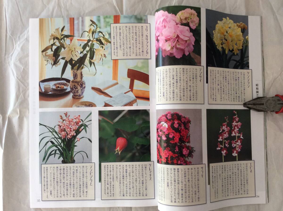 Yahoo!オークション - NHKテキスト 趣味の園芸 2025年12月号