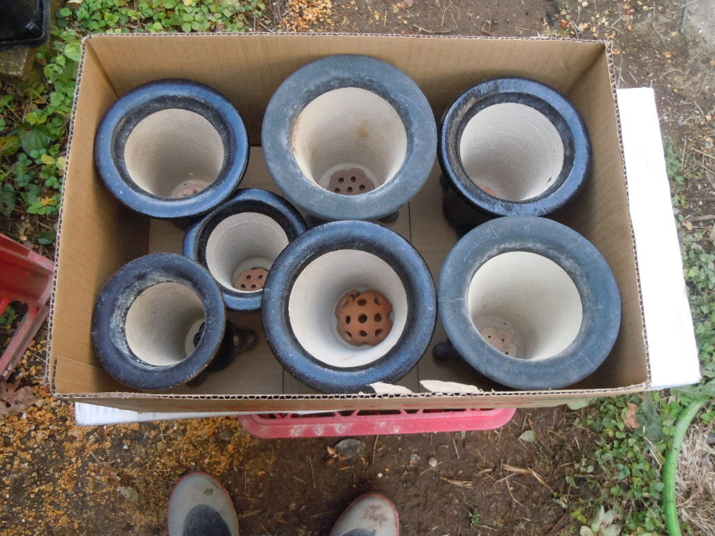 Yahoo!オークション - 日本春蘭 黒楽鉢 B7