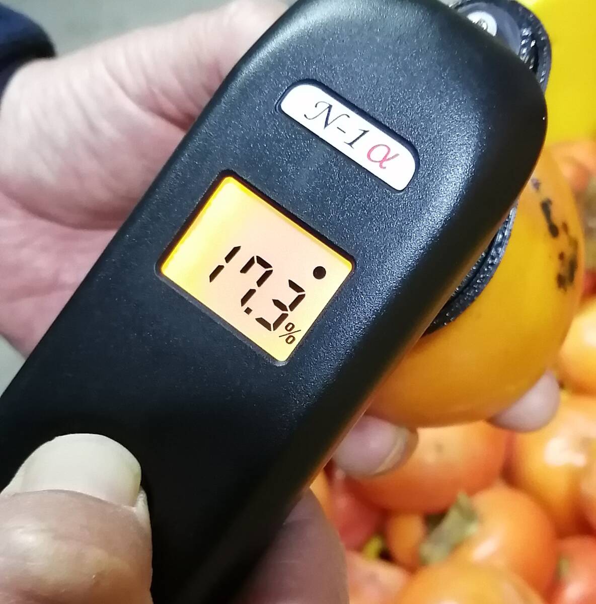 Yahoo!オークション - 富有柿 約12キロ 訳あり【家庭用】滋賀県産（種...