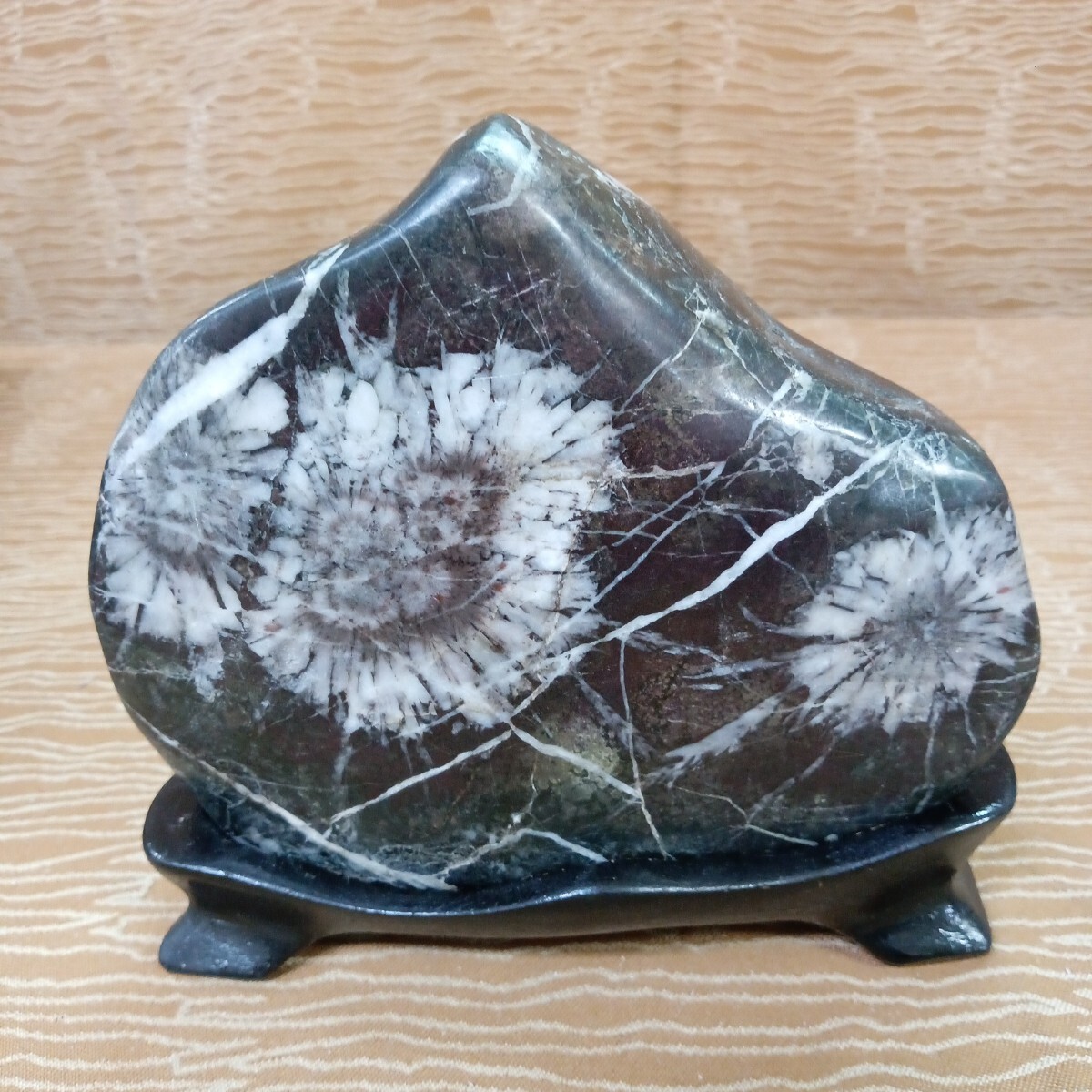 Yahoo!オークション - 【菊花石 鑑賞石 台座付】約1590g 約15×12.5×7...