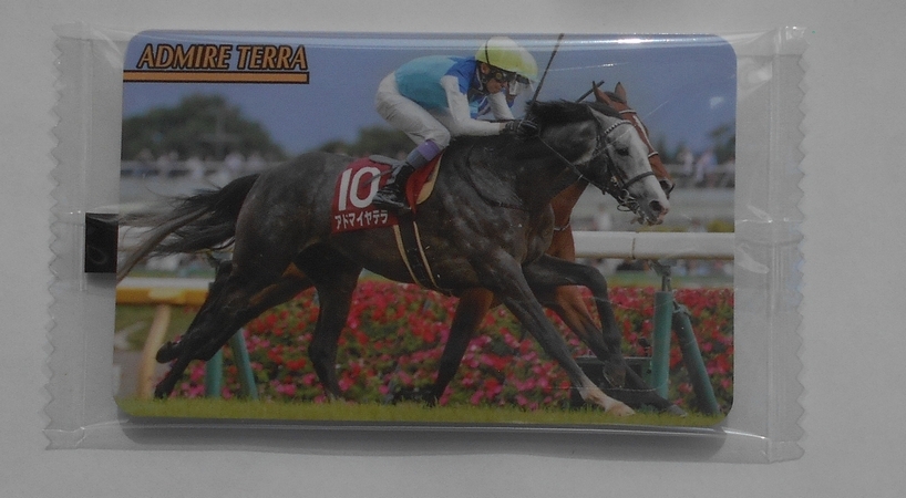 Yahoo!オークション - まねき馬カード No．2683 アドマイヤテラ...