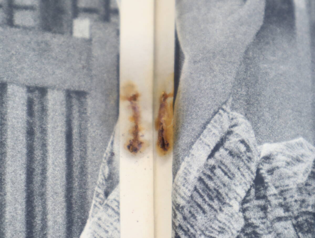 Yahoo!オークション - ∧1961年 昭和36年4月2日号 発行｜サンデー毎日 ...