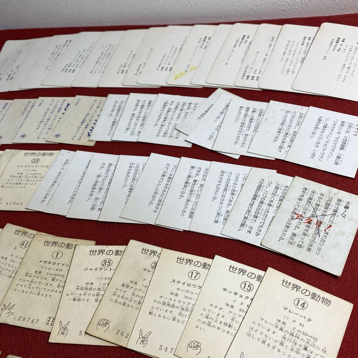 Yahoo!オークション - 希少 世界の動物 どうぶつカード 毒あり生物 ミ...