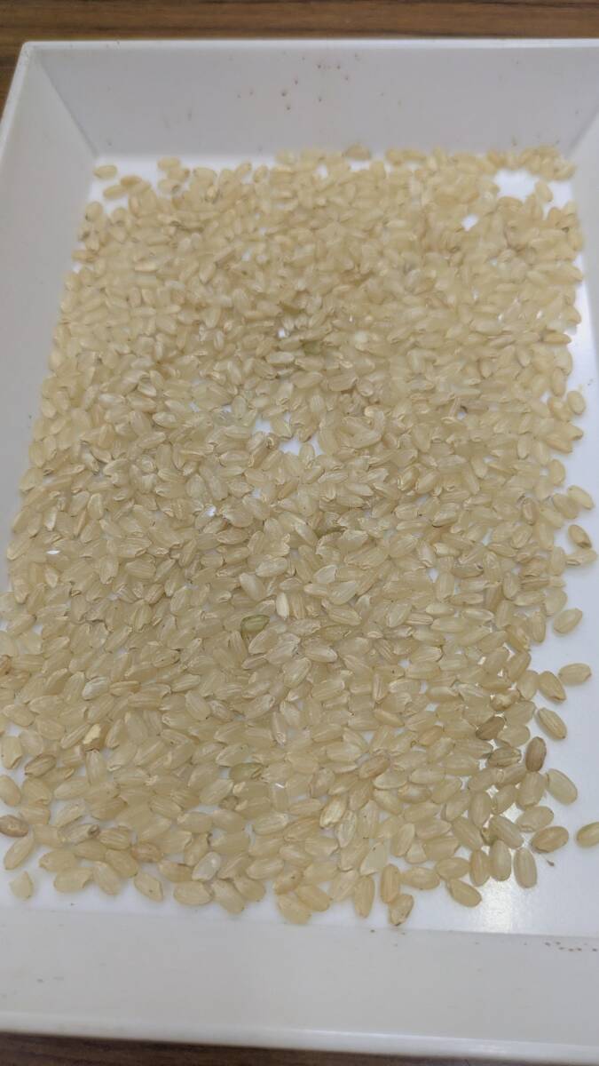 秋田県産あきたこまち 玄米30kg｜Yahoo!フリマ（旧PayPayフリマ）