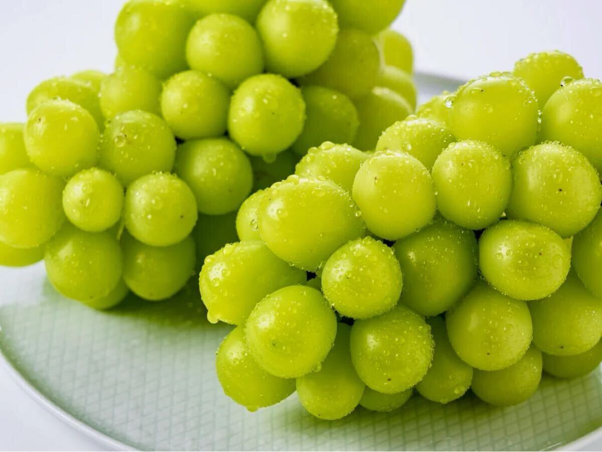 Yahoo!オークション - 【岡山県産】 4kg甘～い大粒 高級シャインマスカ...