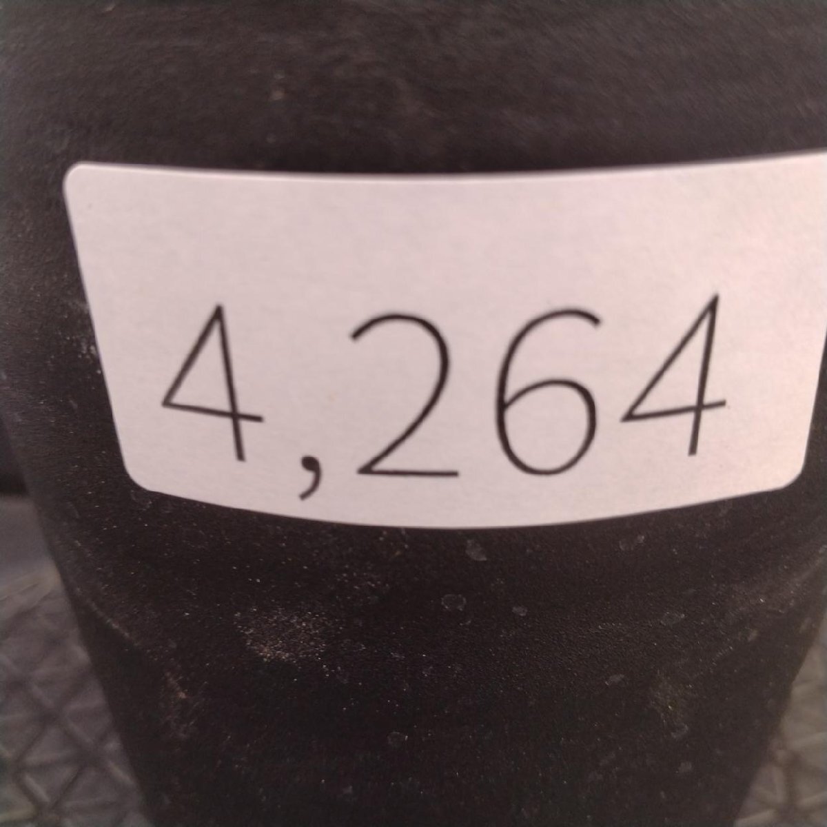 Yahoo!オークション - 4264 「塊根植物」キフォステンマ モンタグナッ...